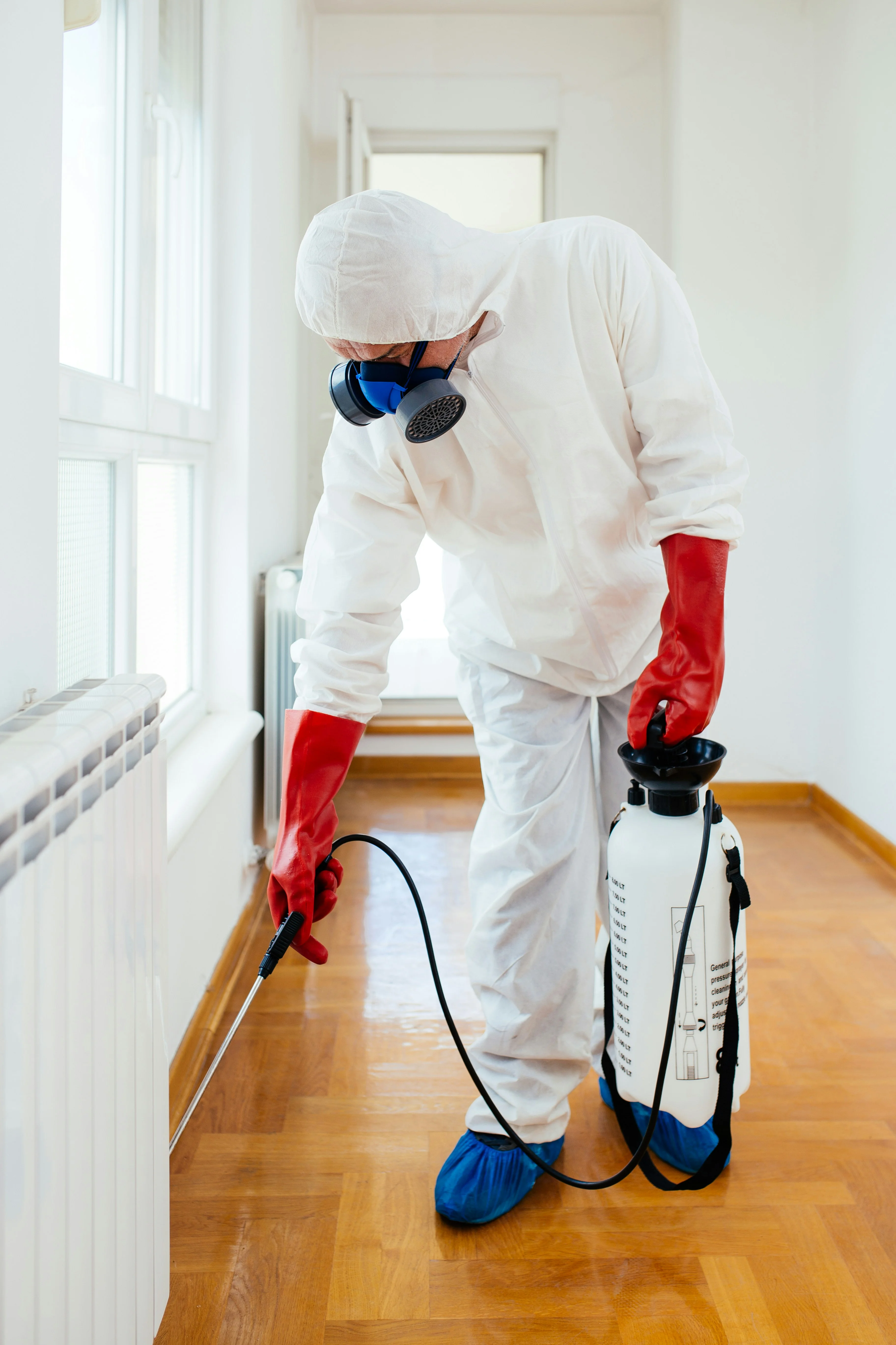 9 Signs of Termite Damage - Keith McNeely Real Estate